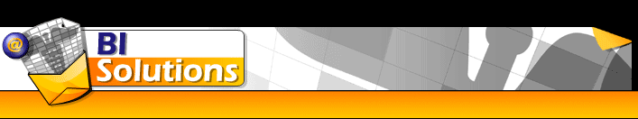 BI Digital Solutions (Pty) Limited.